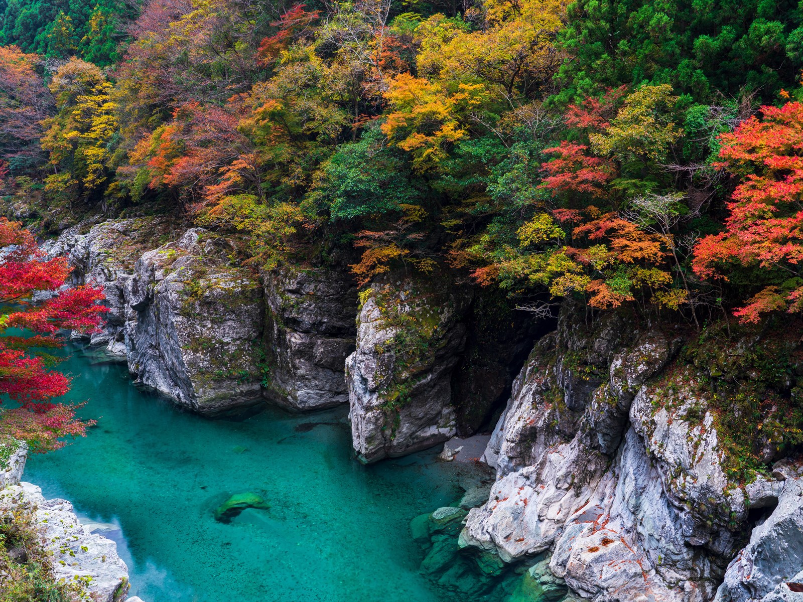 Oboke & Koboke Gorge | Nishi-Awa Contents | Nishi-Awa Tourism Area