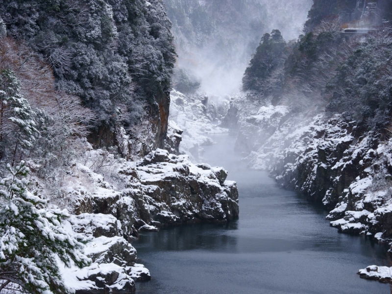 Oboke & Koboke Gorge | Nishi-Awa Contents | Nishi-Awa Tourism Area