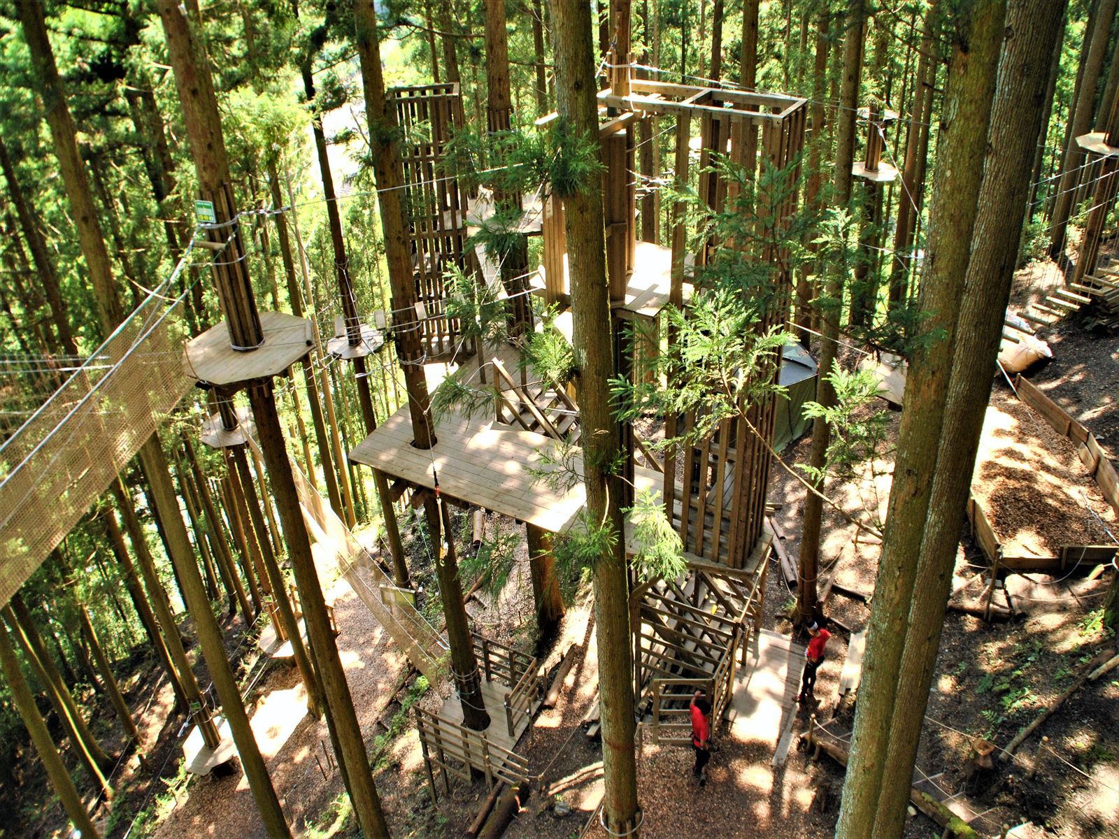 Forest Adventure Iya Valley [Adventure Course] 【Reservations taken up ...