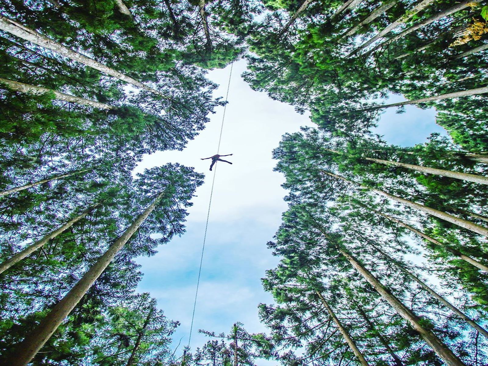 Forest Adventure Iya Valley [Zipline course] 【Reservations taken up ...