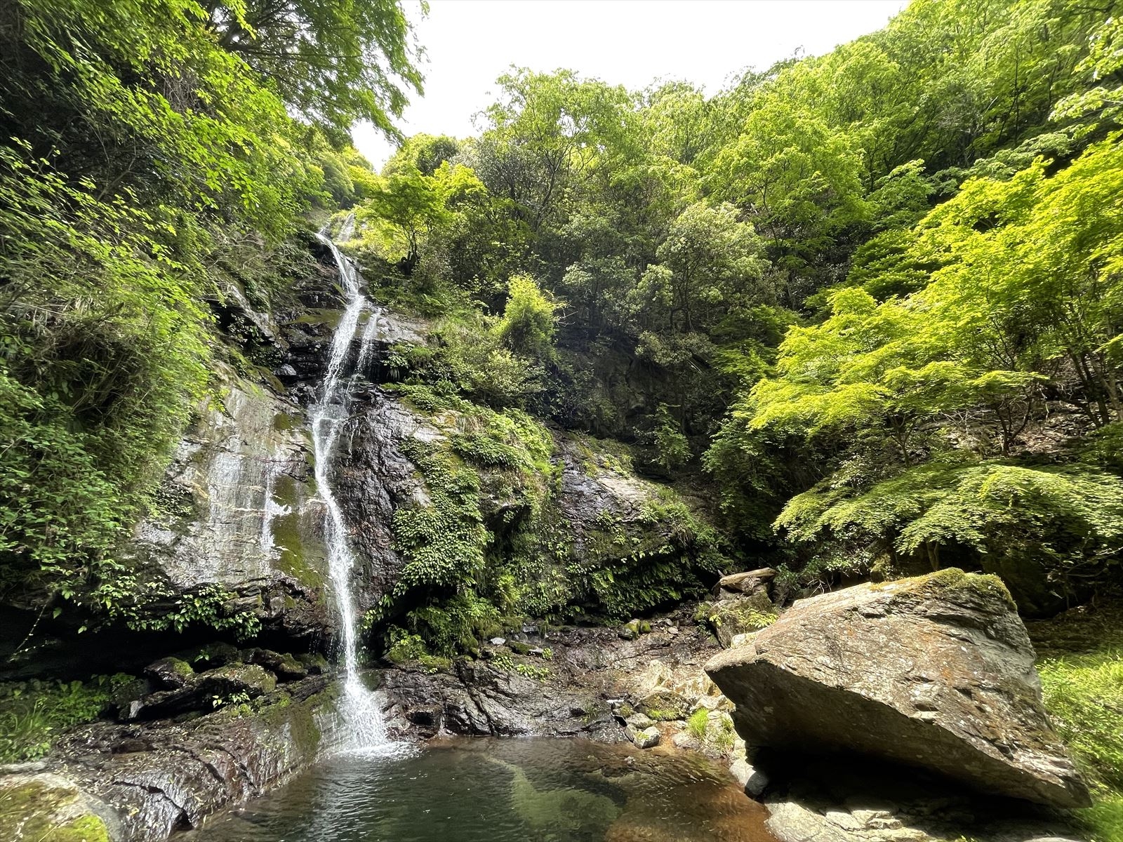 Narutaki Waterfall | Nishi-Awa Contents | Nishi-Awa Tourism Area