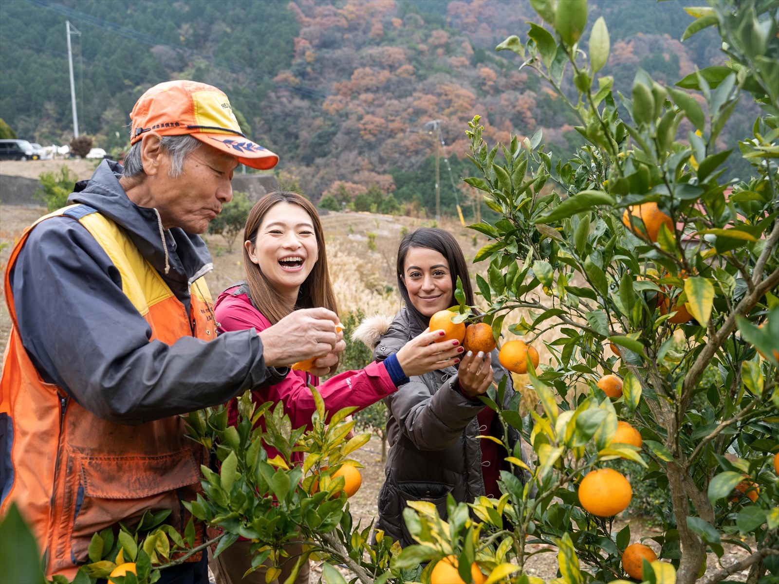 Enjoy the Blessings of the Mountains at Uribo Guest House! Gibier Full ...