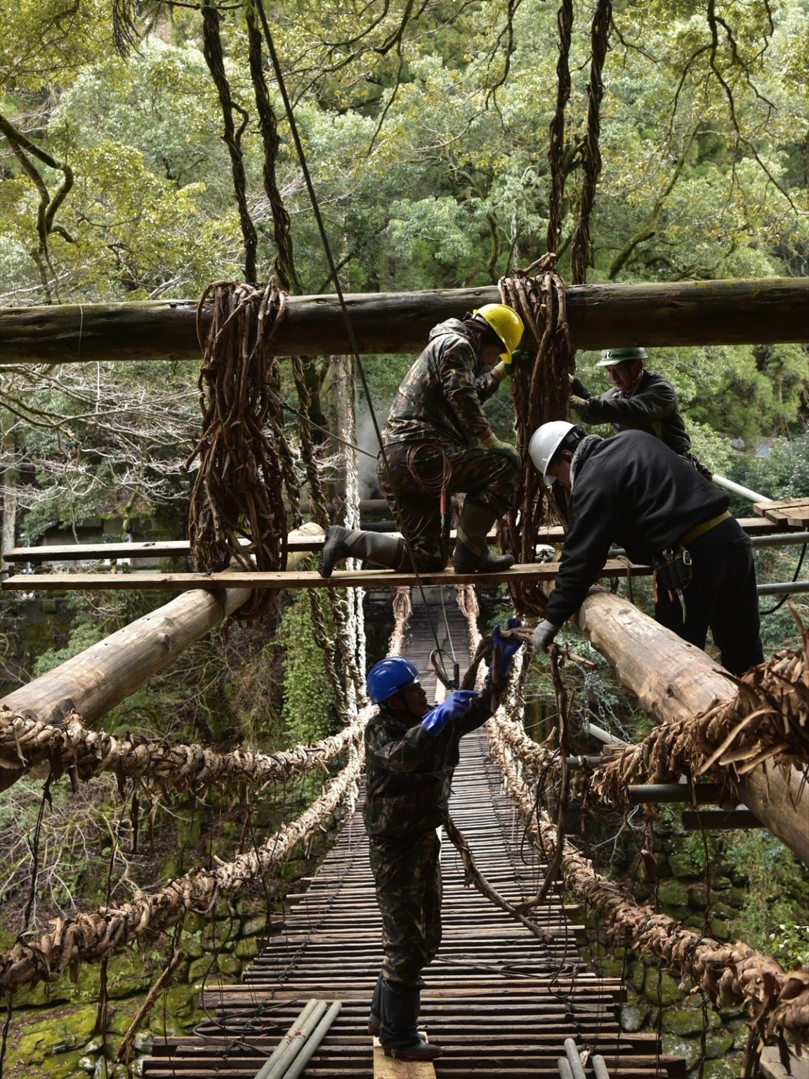 Rebuilding of the Iya Vine Bridge【Once every three years: mid-January ...