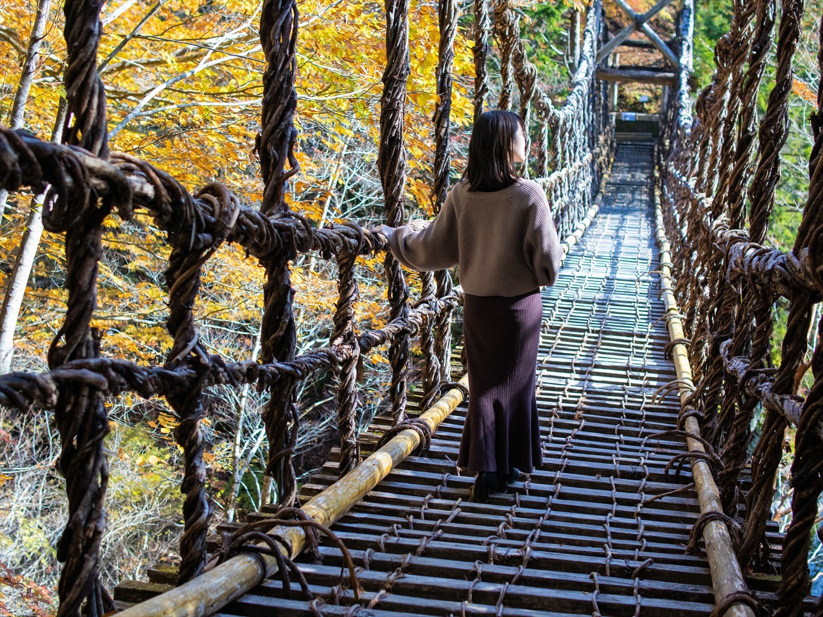 Oku-Iya Double Vine Bridges | Columns | Nishi-Awa Tourism Area