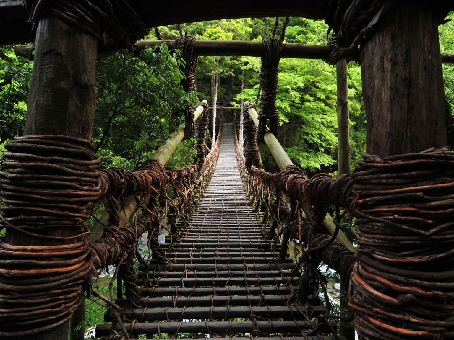 Rebuilding of the Iya Vine Bridge【Once every three years: mid-January ...