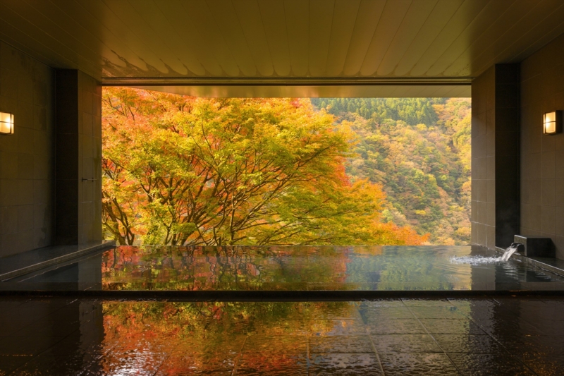 Hotel Iya Onsen One-day Onsen Plan (Day-of reservation before 4:00 p.m ...